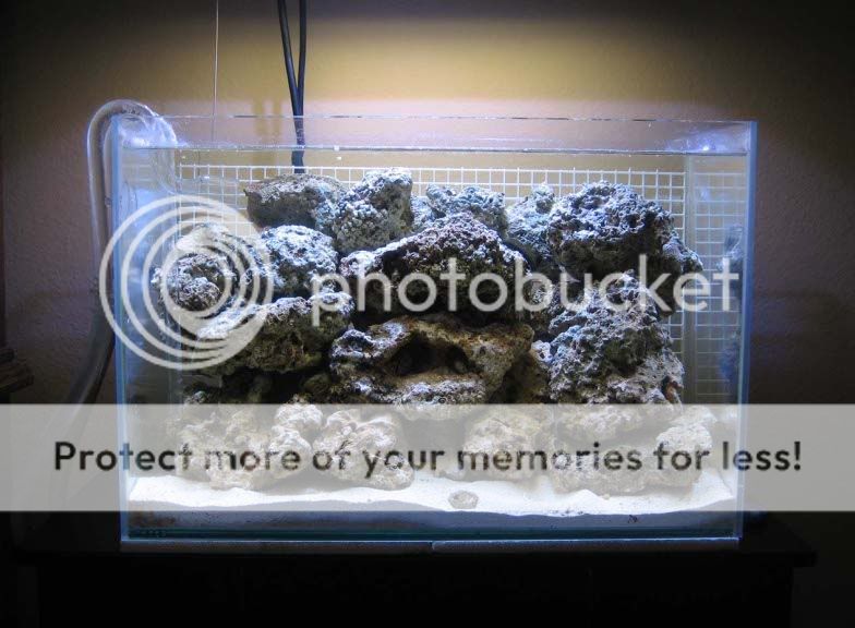 Nano Build - 20 gallon ADA style reef setup | REEF2REEF Saltwater and ...