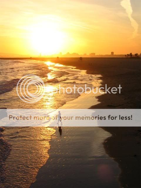 Photos ! - Ramble On - Led Zeppelin Official Forum