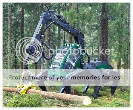 Oddball and Different Modes of Locomotion