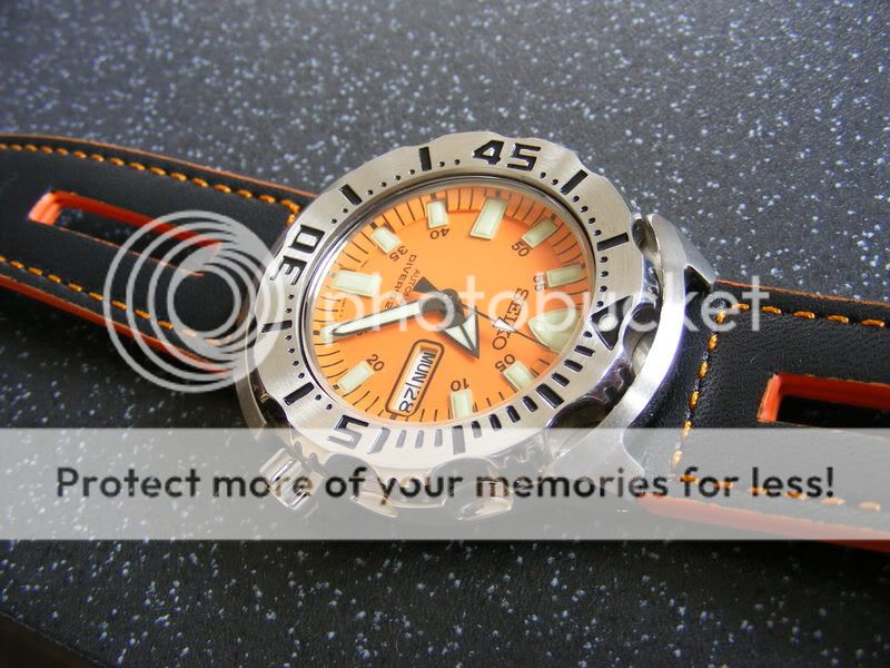 Old fave meets new fave! Image intensive! | WatchUSeek Watch Forums