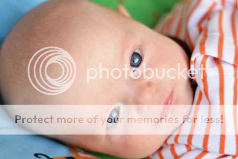 Bald Babies Not Cute?? - BabyCenter