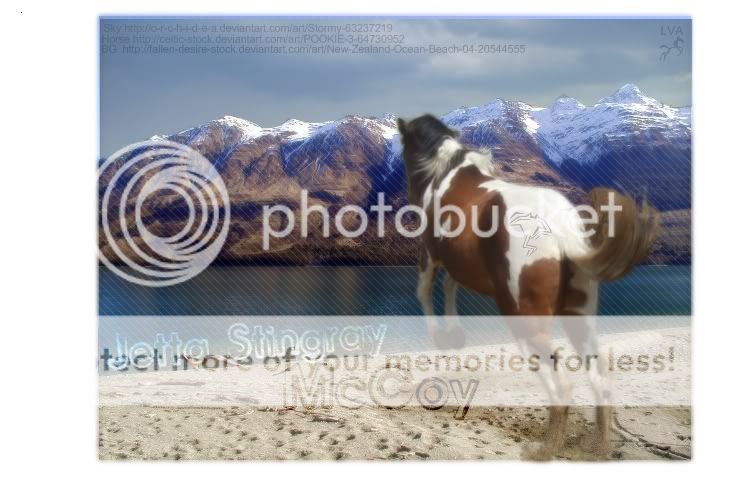 POOKIE 3 by celtic-stock on DeviantArt